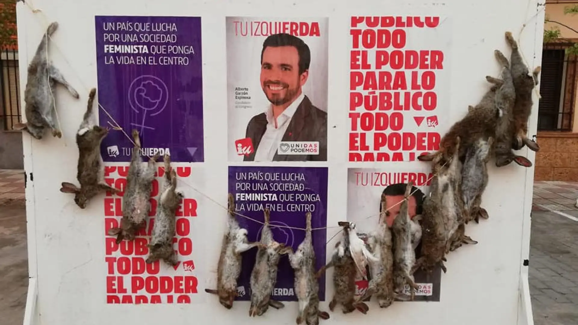 Cuelgan conejos muertos de carteles de Unidas Podemos en un pueblo de ...