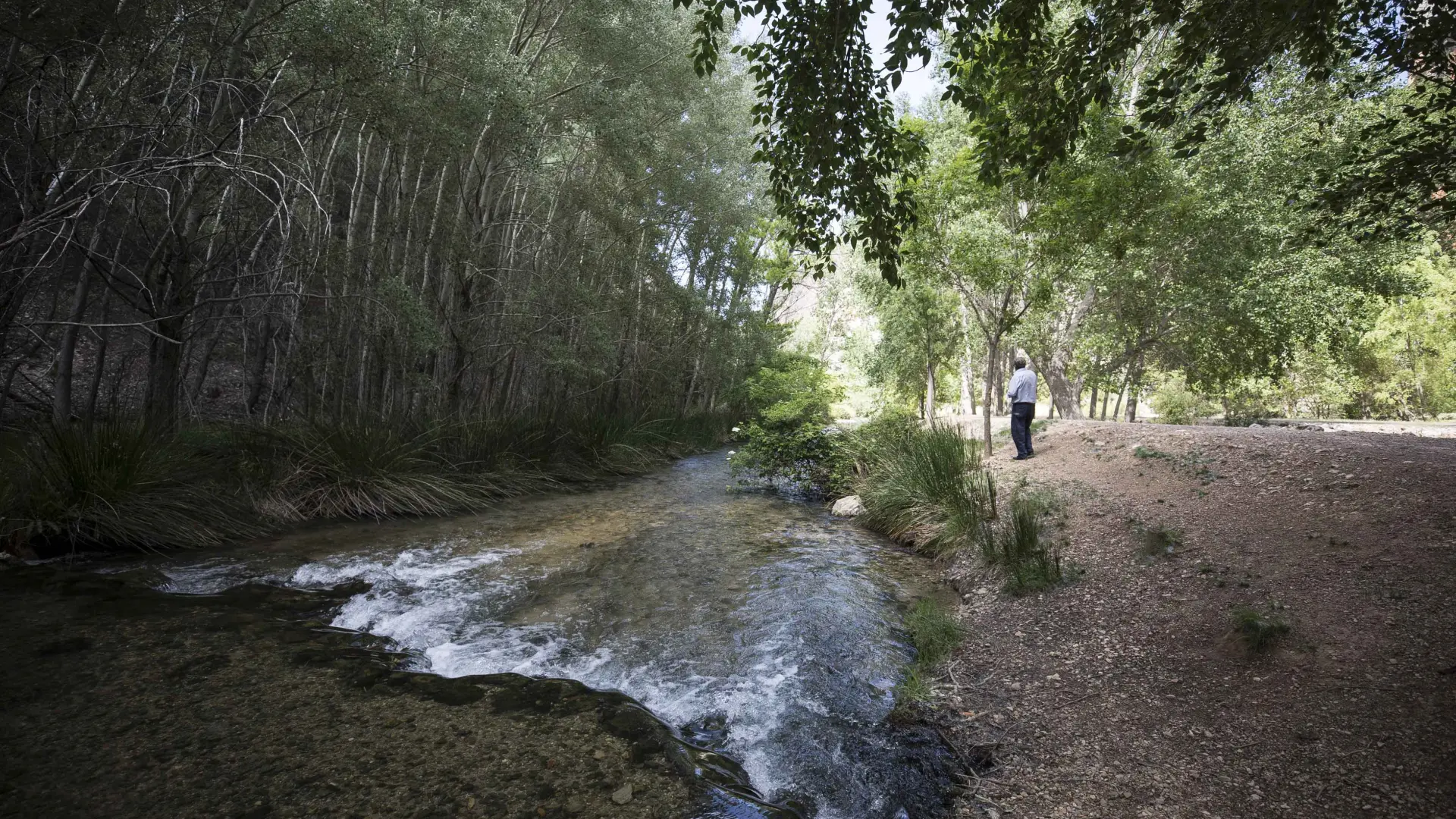 Jaraba será escenario de unas jornadas sobre agua y turismo del 8 al 14 ...