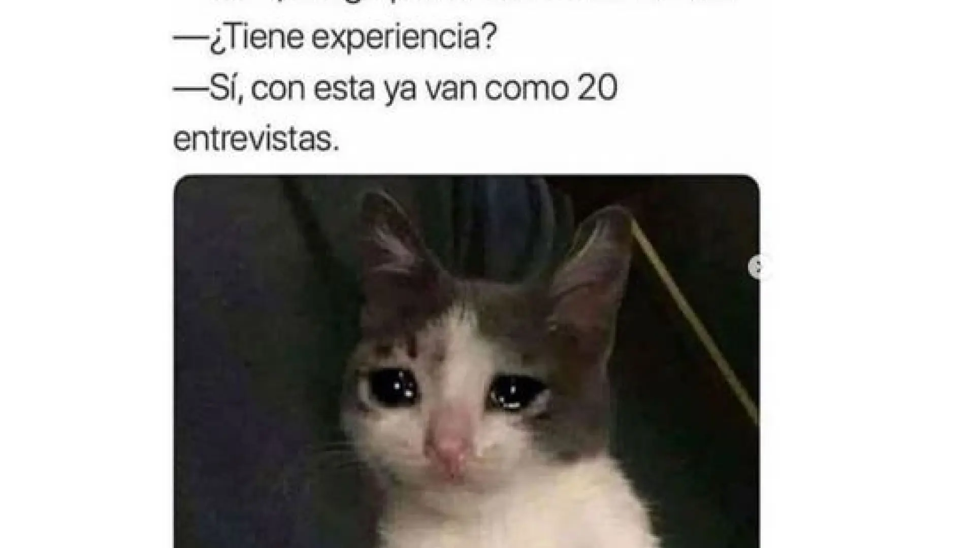 Mejores Fotos De Memes 90 Ideas De Memes Español En 2025 | Memes,