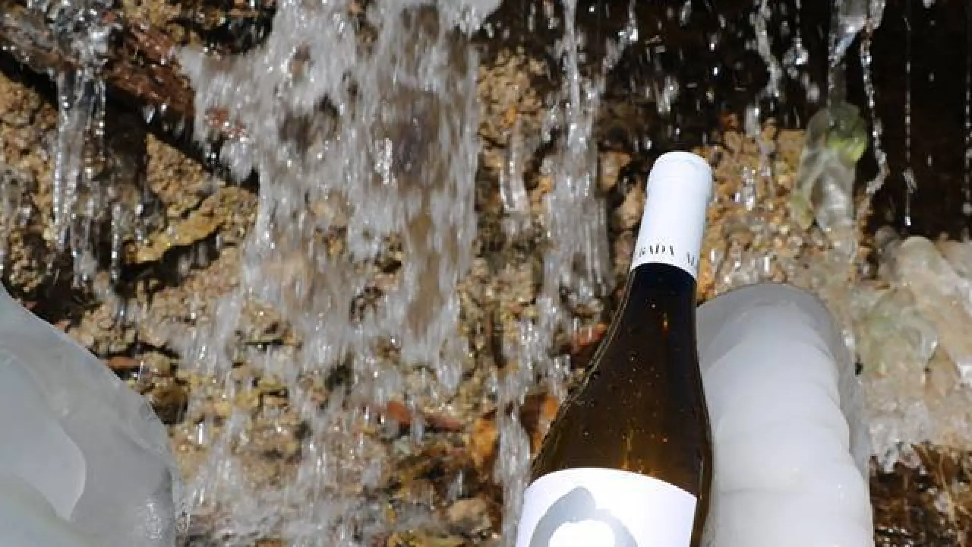 El Albada Blanco 2019, tan rico y frutal como siempre