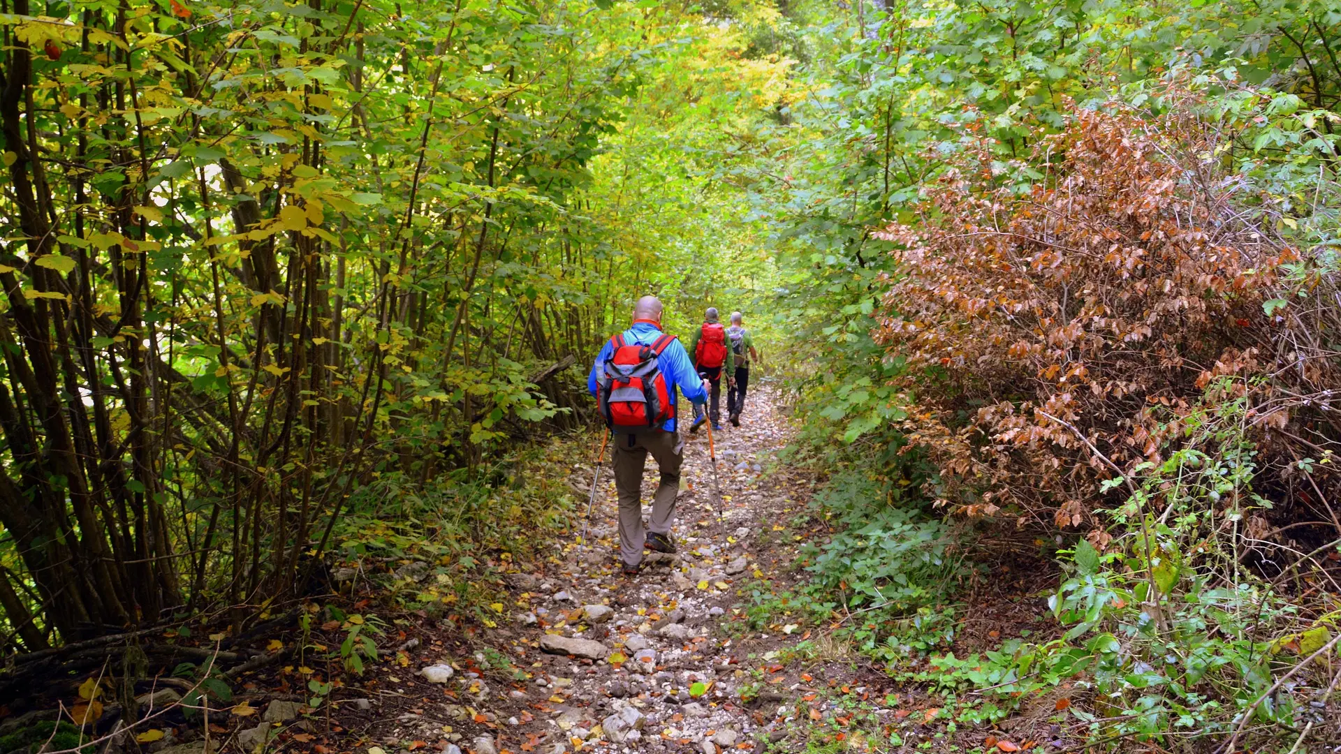 Guía básica para salir de excursión ahora que empieza el buen tiempo