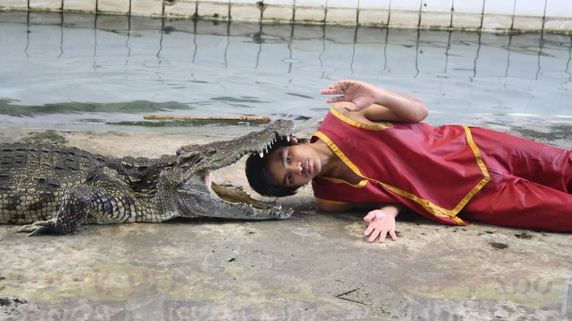 De profesión, Faquir