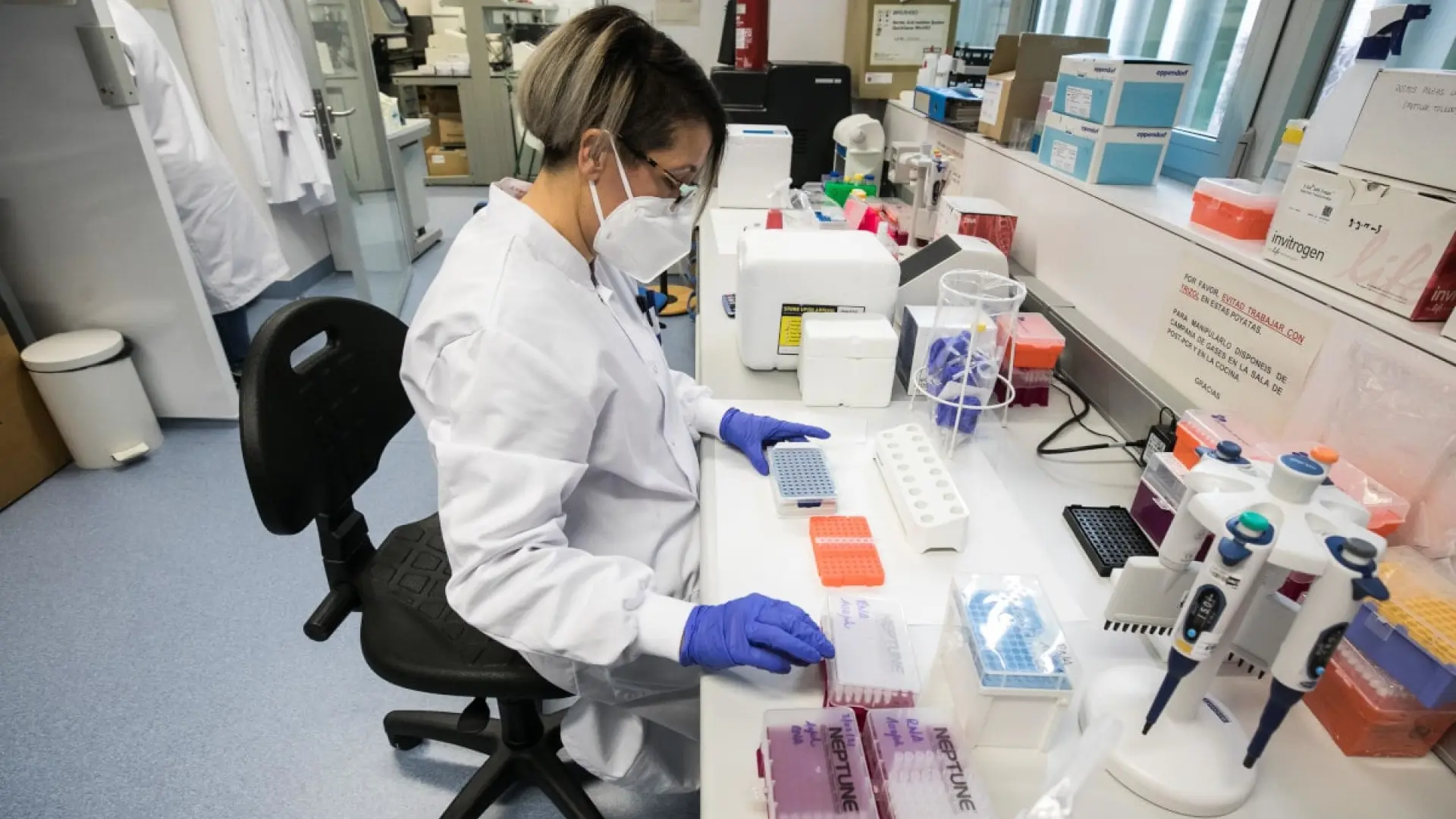 ¿Es más letal la cepa británica que el coronavirus original? | Covid-19