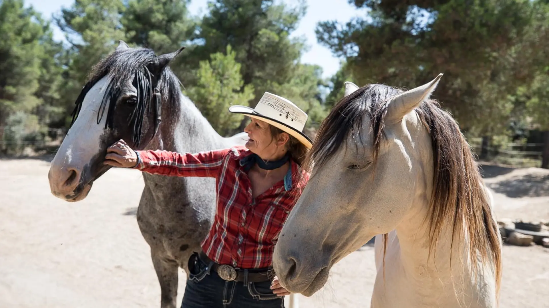 Arens de Lledó en Aragón es extraordinario | Imágenes