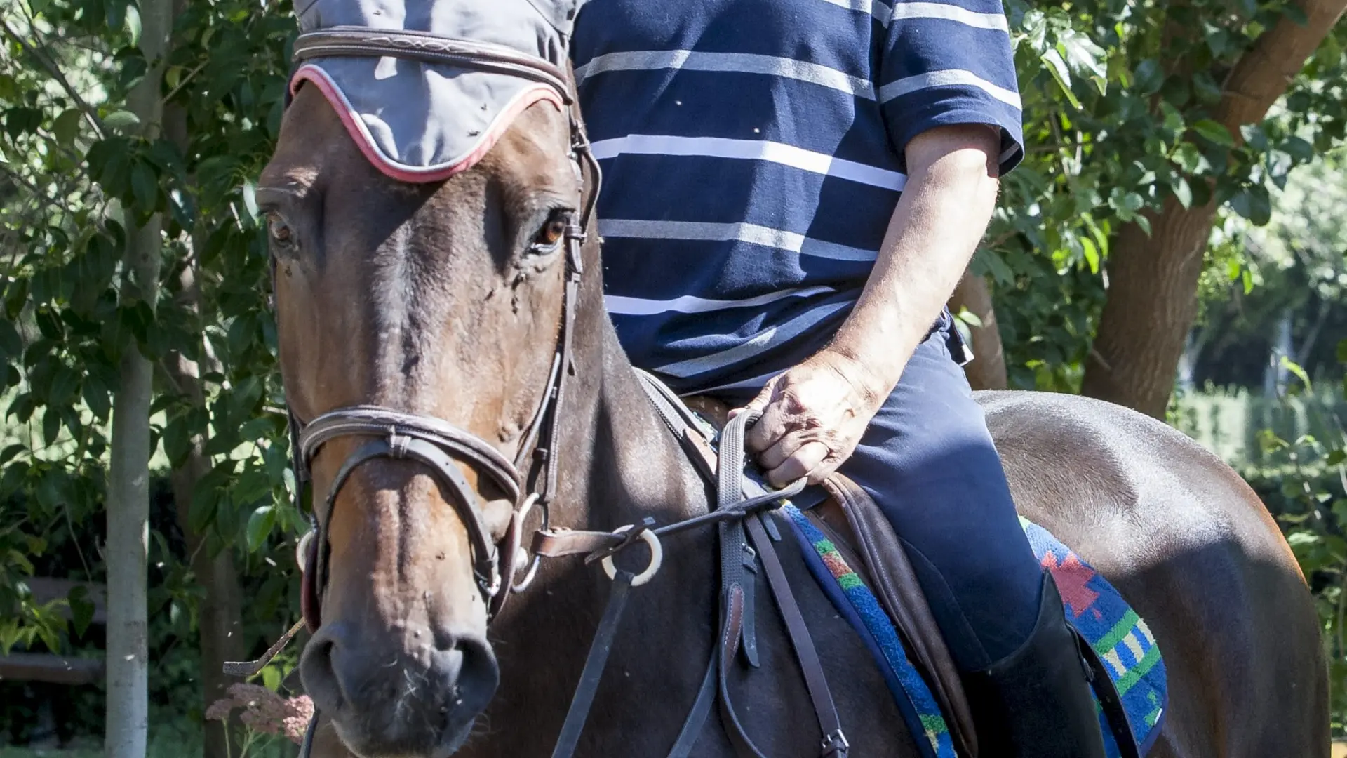 Muere Paco Franco, referencia hípica en Aragón | Perfil