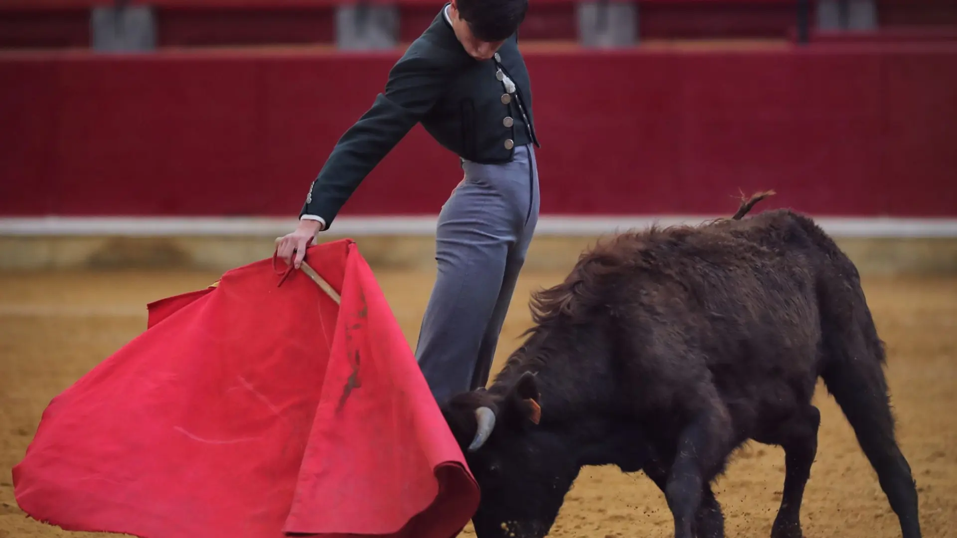 El aragonés Aaron Palacio torea en La Maestranza