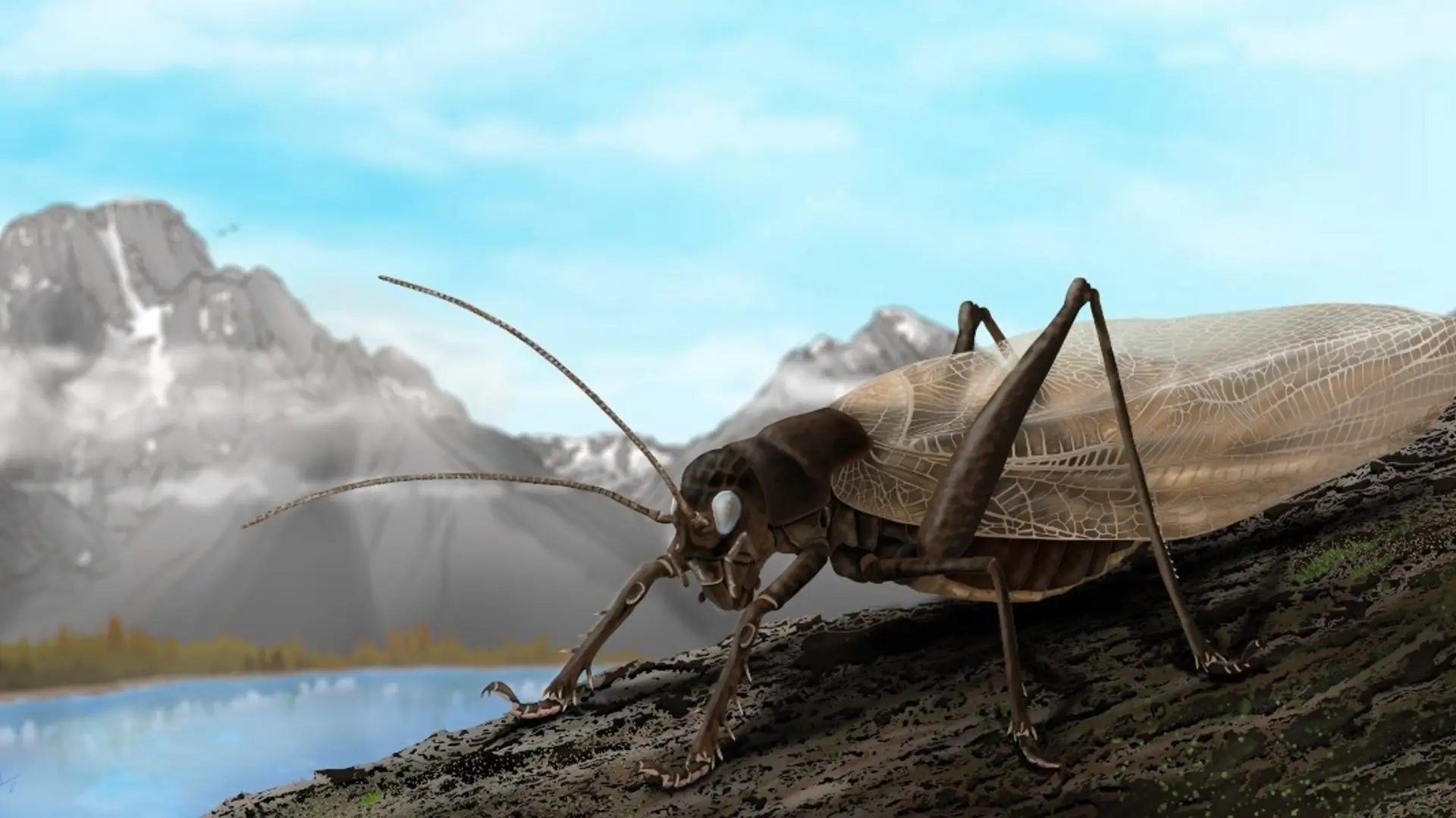 Un insecto visto por última vez en 1869 ha vuelto a cantar