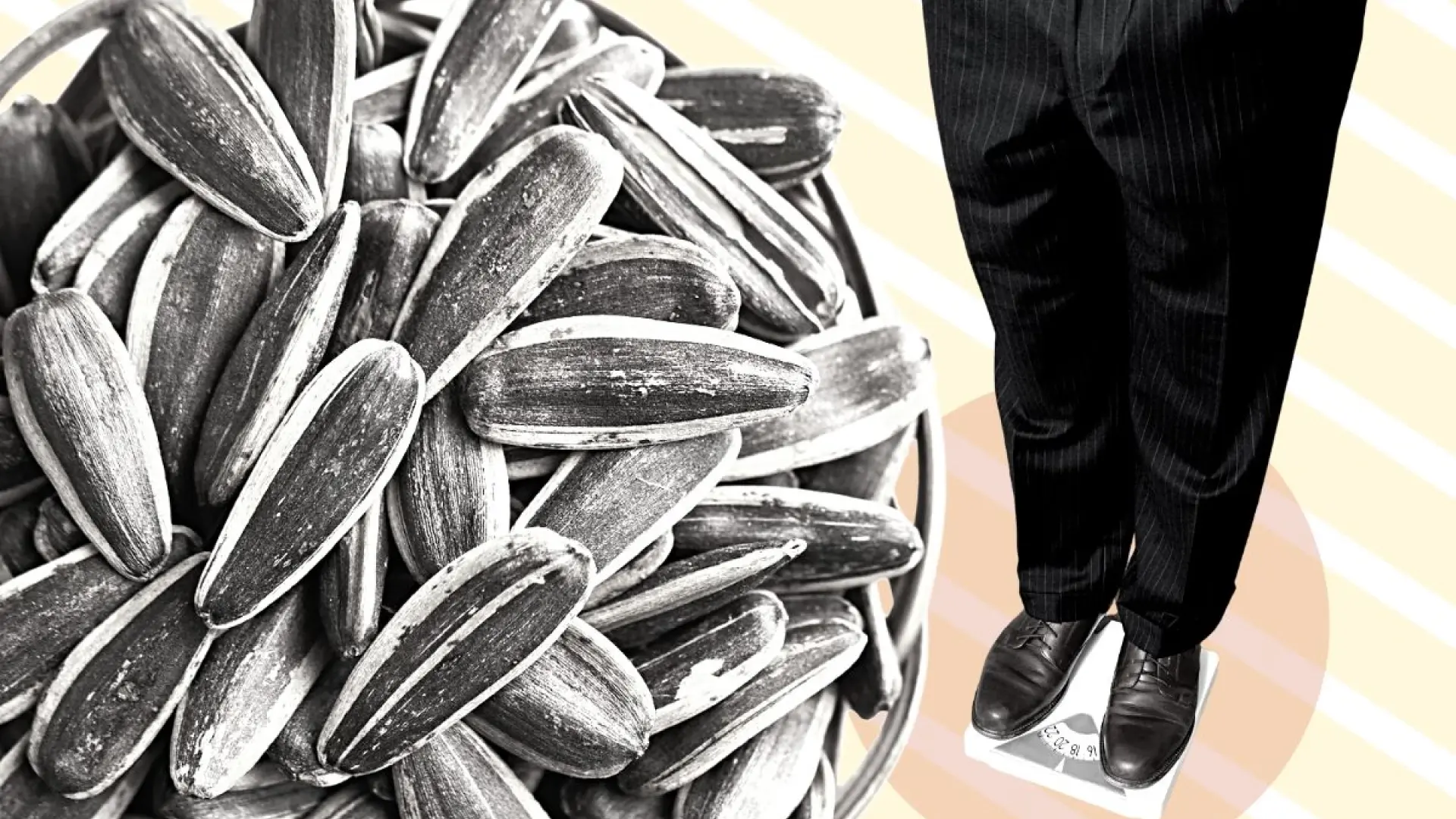 Cuánto engordan las pipas, el fruto seco más consumido en España