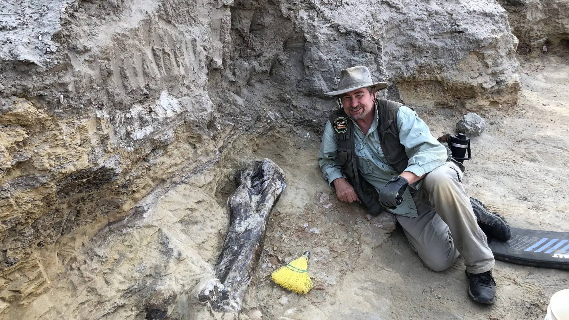 Un Museo De Florida Exhibirá El Mayor Triceratops Jamás Hallado En El Planeta