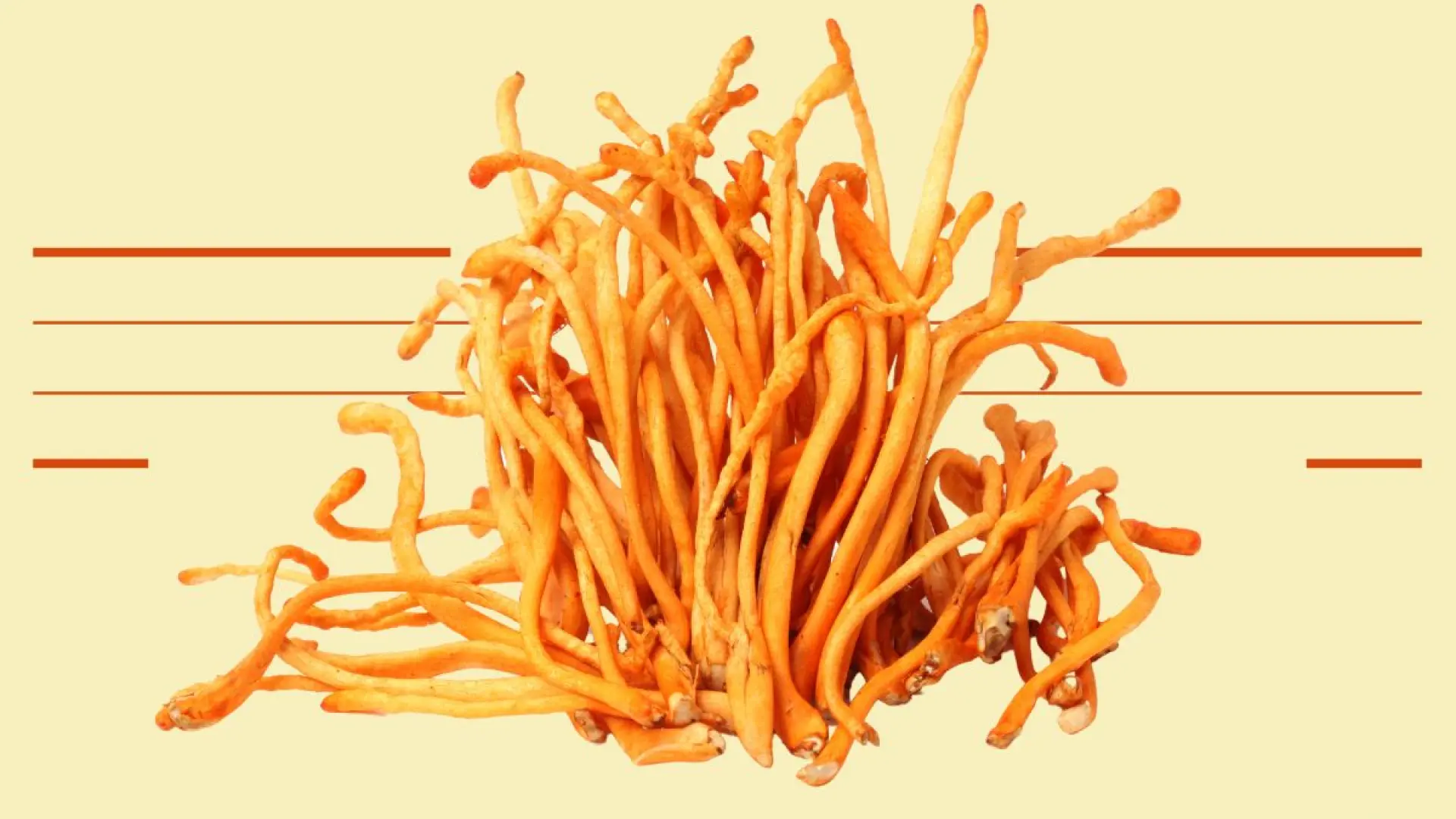 Qué es el hongo cordyceps y qué probabilidades hay de contagio