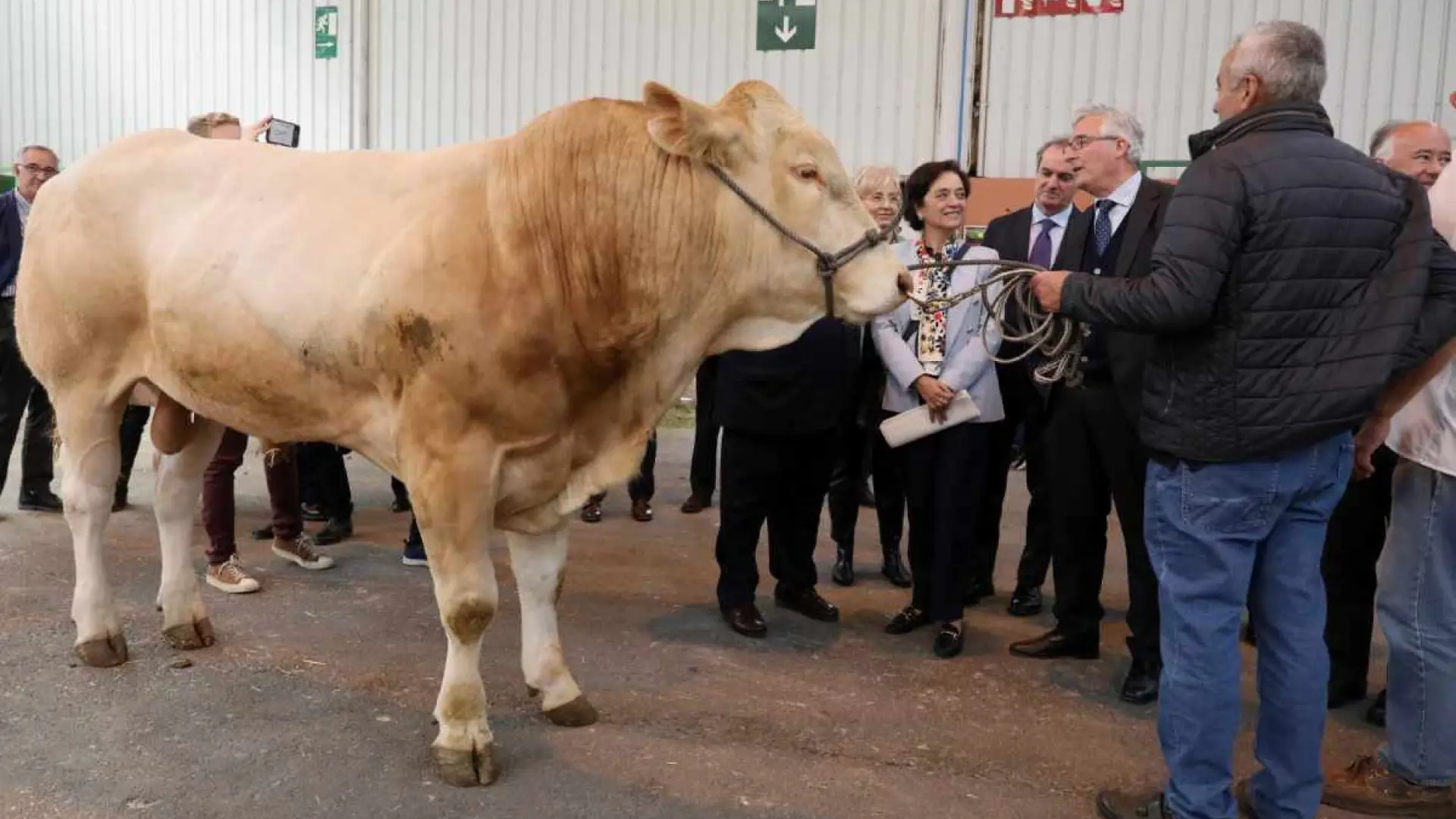 Qué ver y hacer en Figan 2023 en Zaragoza: horarios de las ...