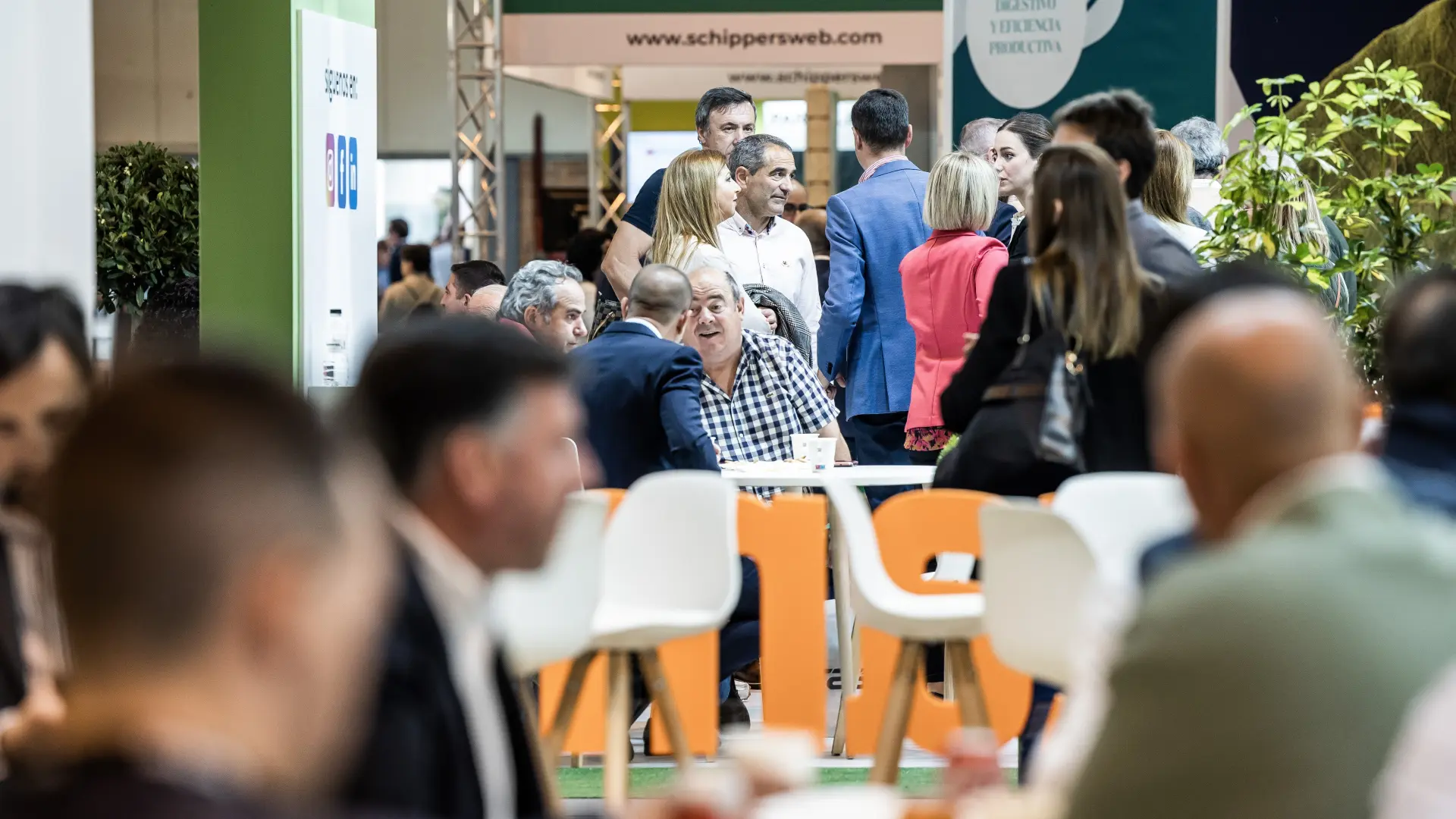 Figan 2023 en Zaragoza: la masiva afluencia de visitantes refuerza las ...