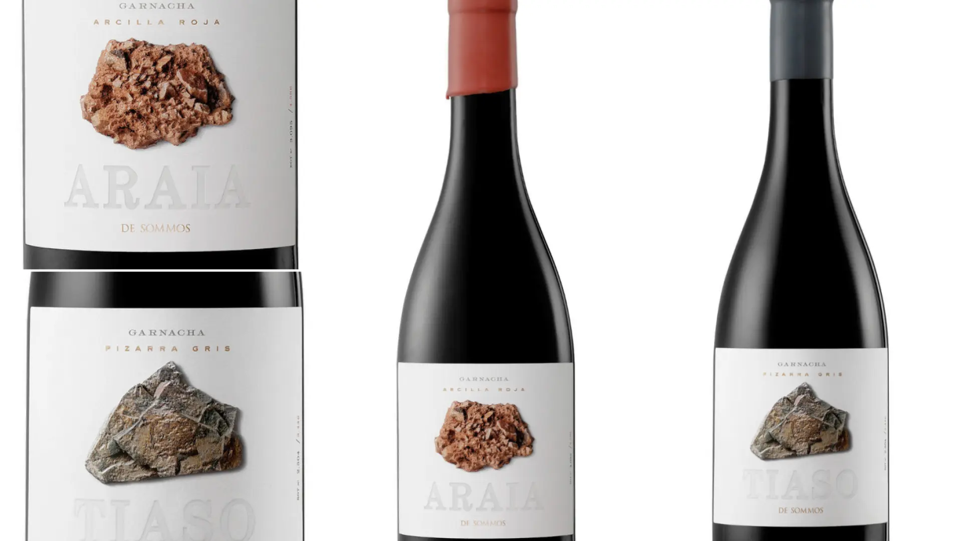 Araia y Tiaso, los nuevos vinos aragoneses, de la bodega Sommos