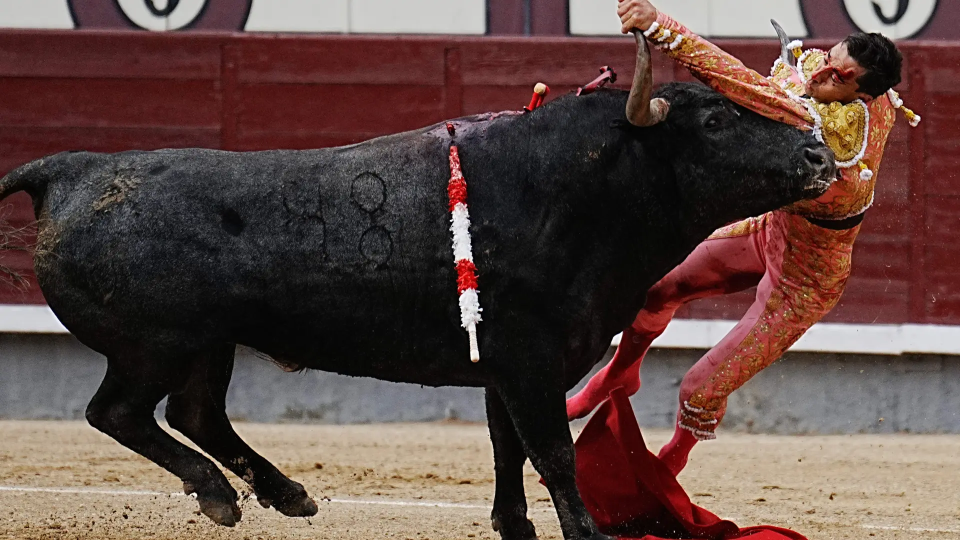 Fotos de la corrida de toros de la Asociación de la Prensa de Madrid ...