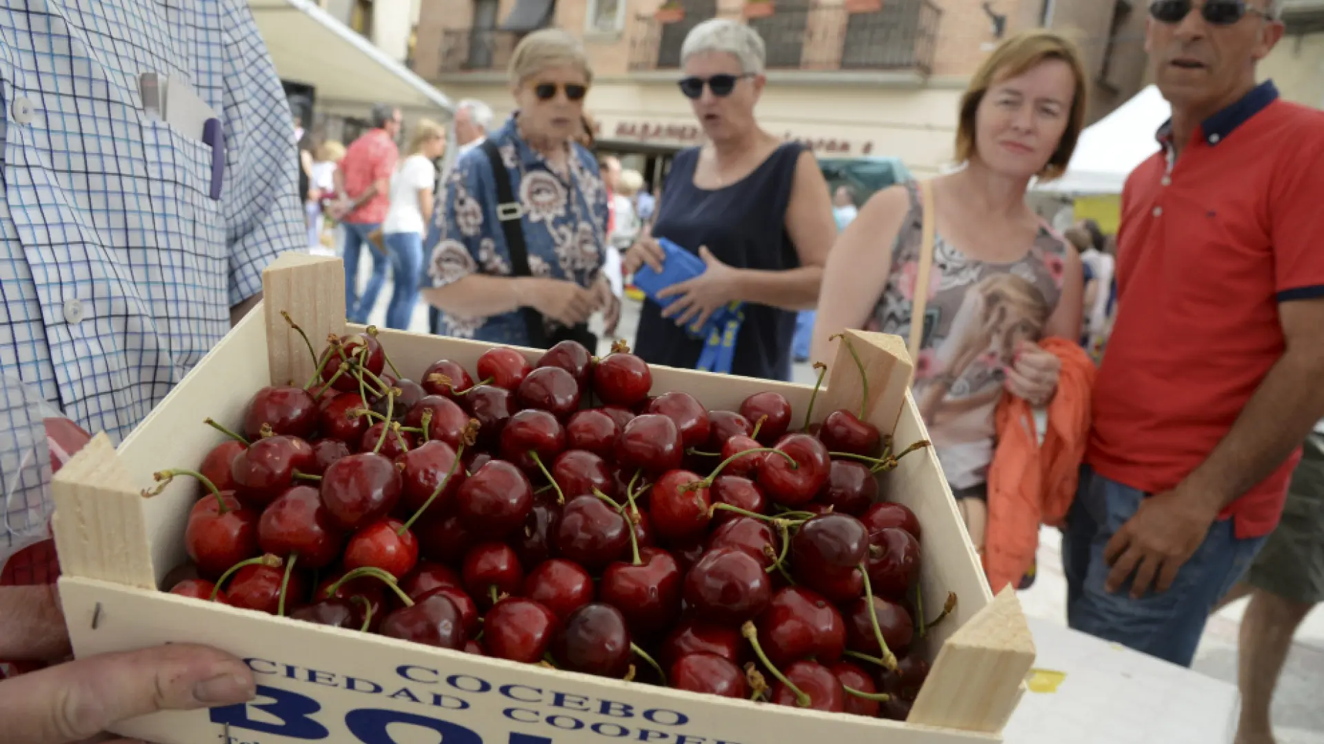 Bolea vuelve a celebrar su feria de la cereza después de tres años ...