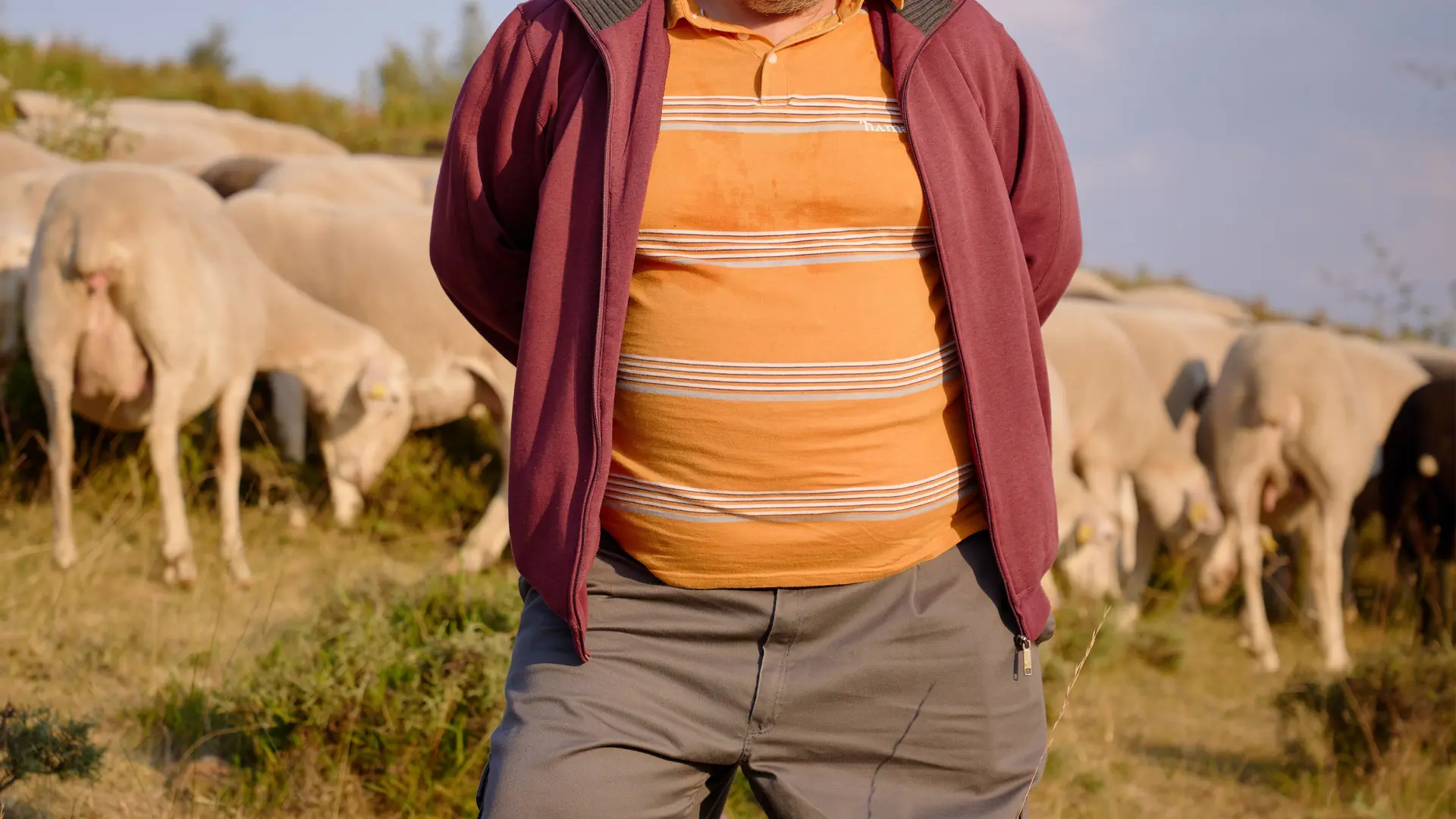 Javier Losán: "El personaje de 'El ovejas' daría para crear su propia ...