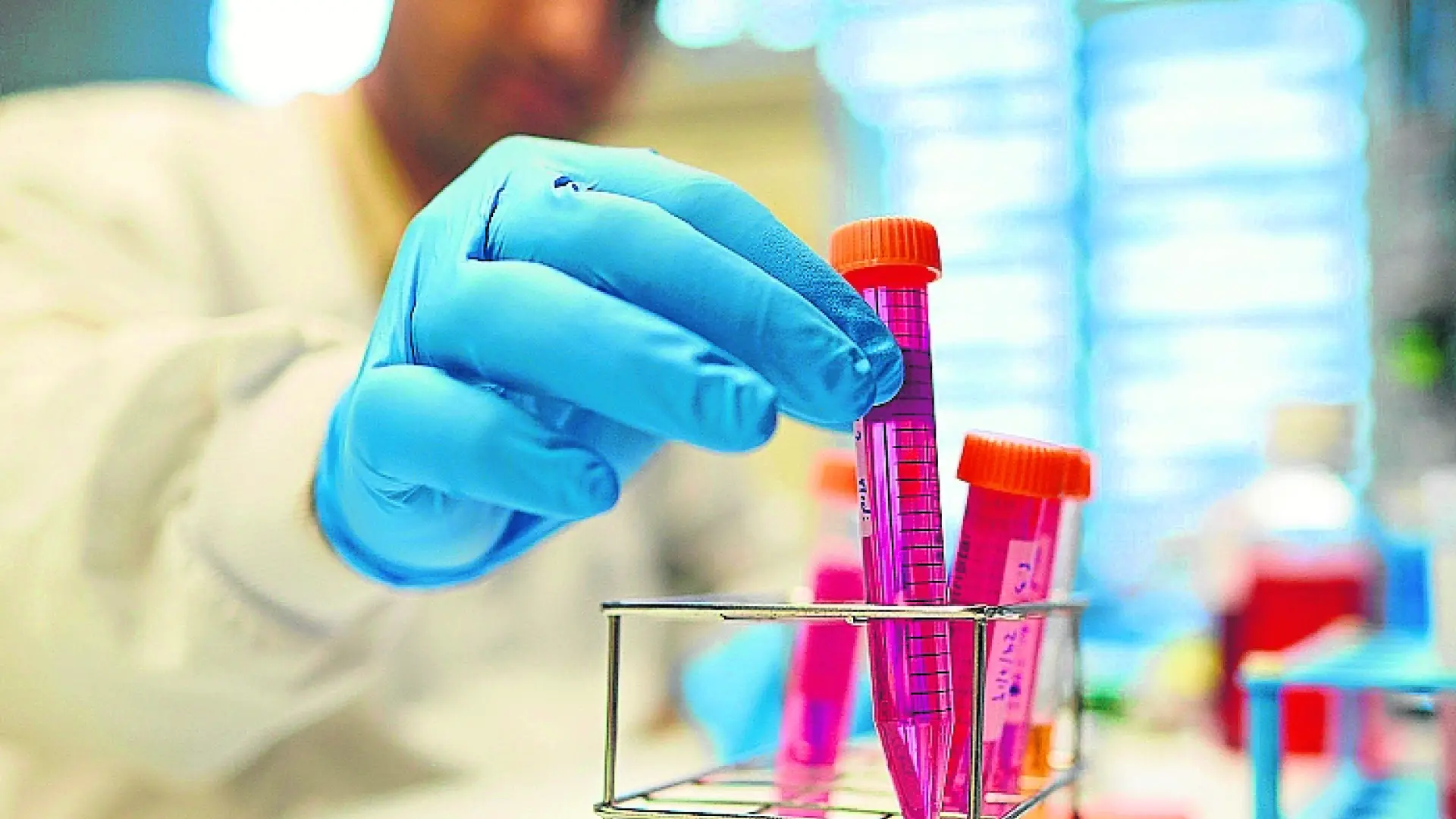 Comienza el mayor estudio en España en busca de las raíces genéticas ...