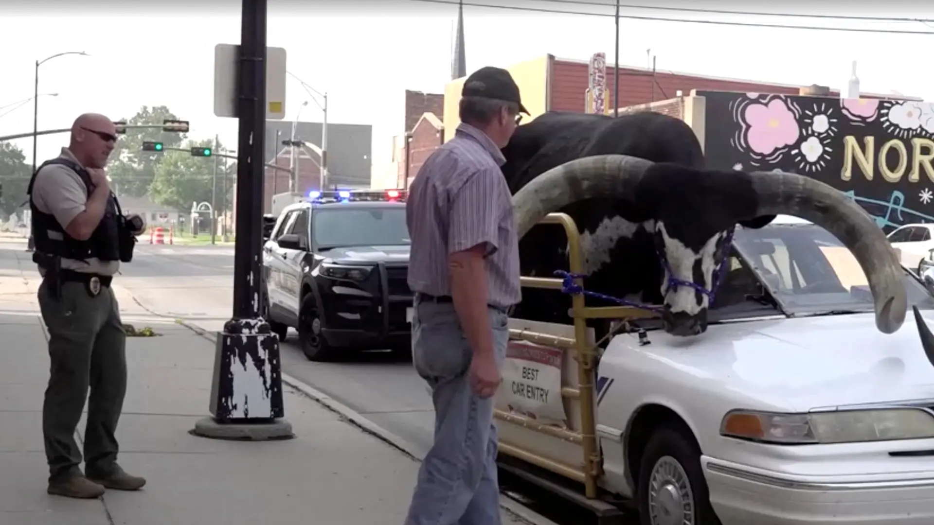 Un toro gigante de copiloto por una carretera de Nebraska (EE. UU ...