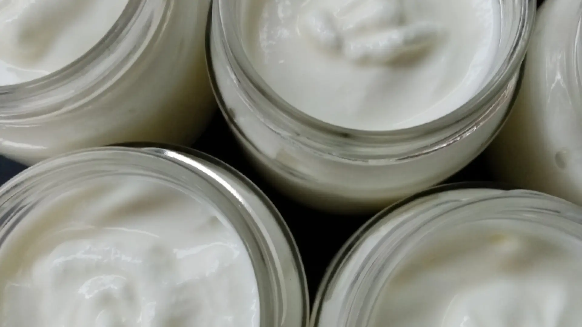 Los deliciosos yogures aragoneses