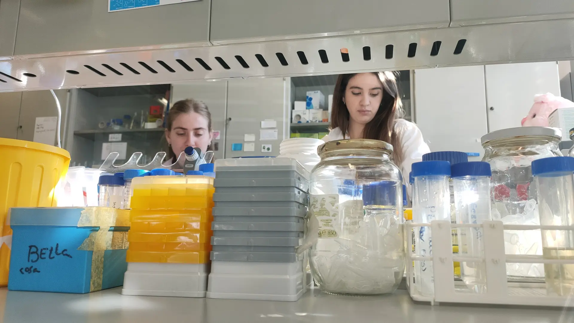 El Gobierno de Aragón financia la contratación de 65 investigadores ...