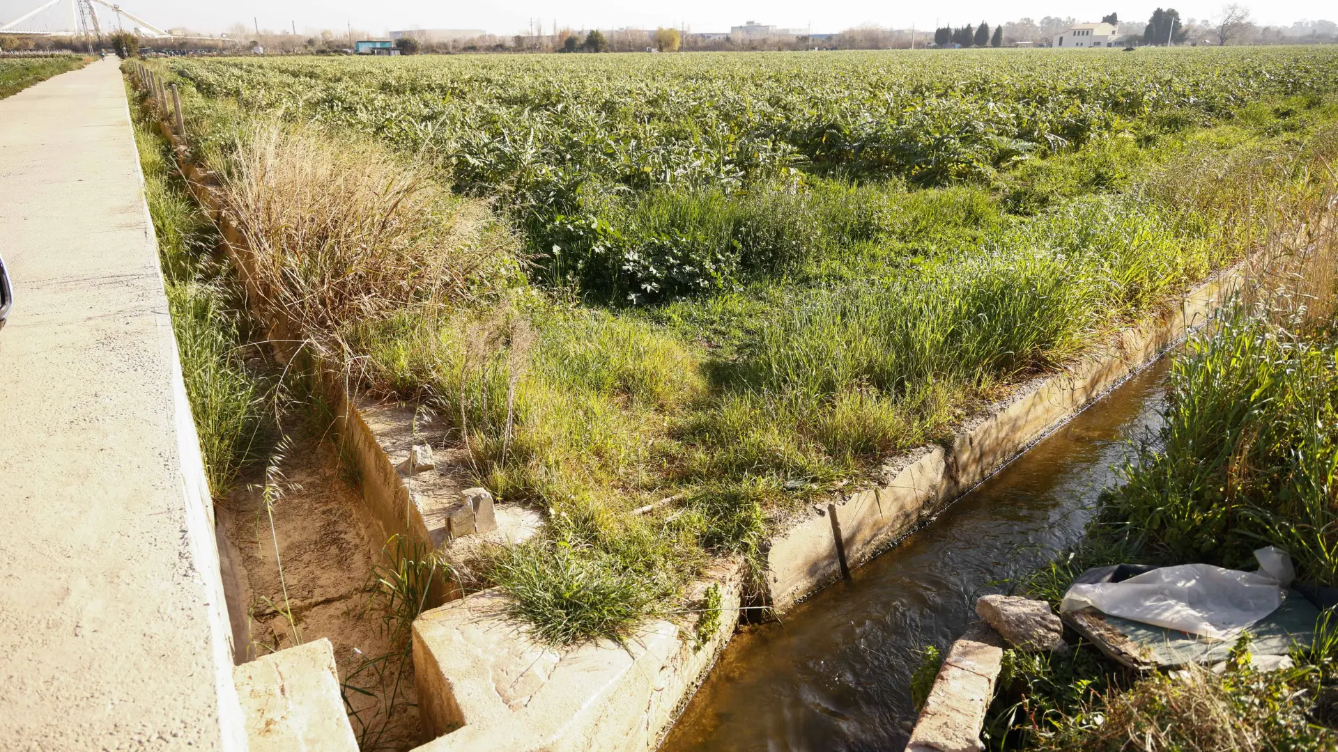Cataluña tiene un total de 239 municipios en emergencia por sequía y ...