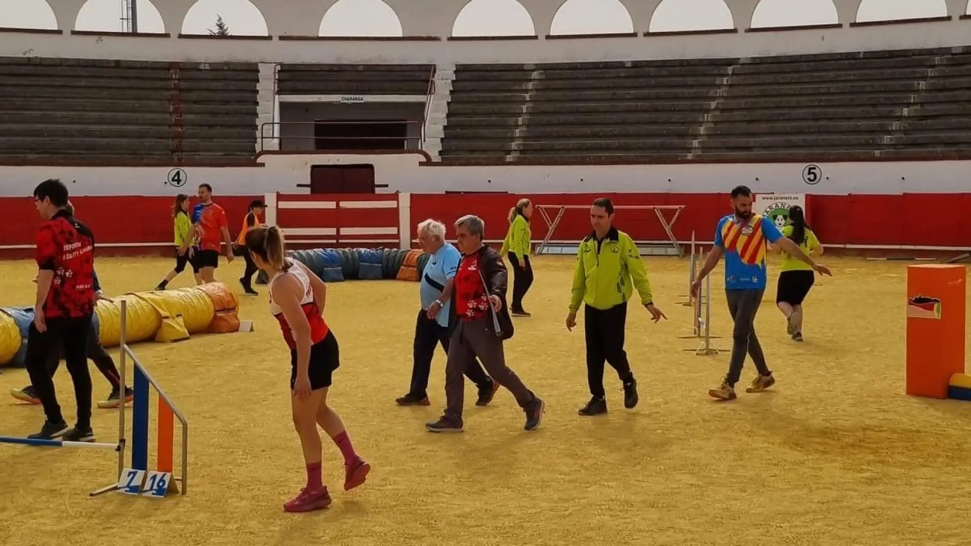 En fotos | Prueba del Campeonato Nacional de Agility en la plaza de ...