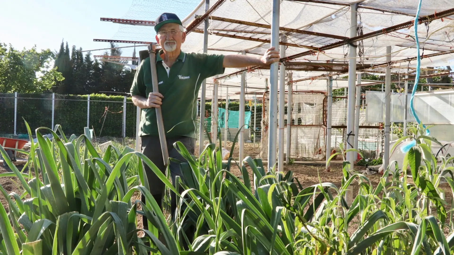 El hortelano más famoso en las redes está en Huesca