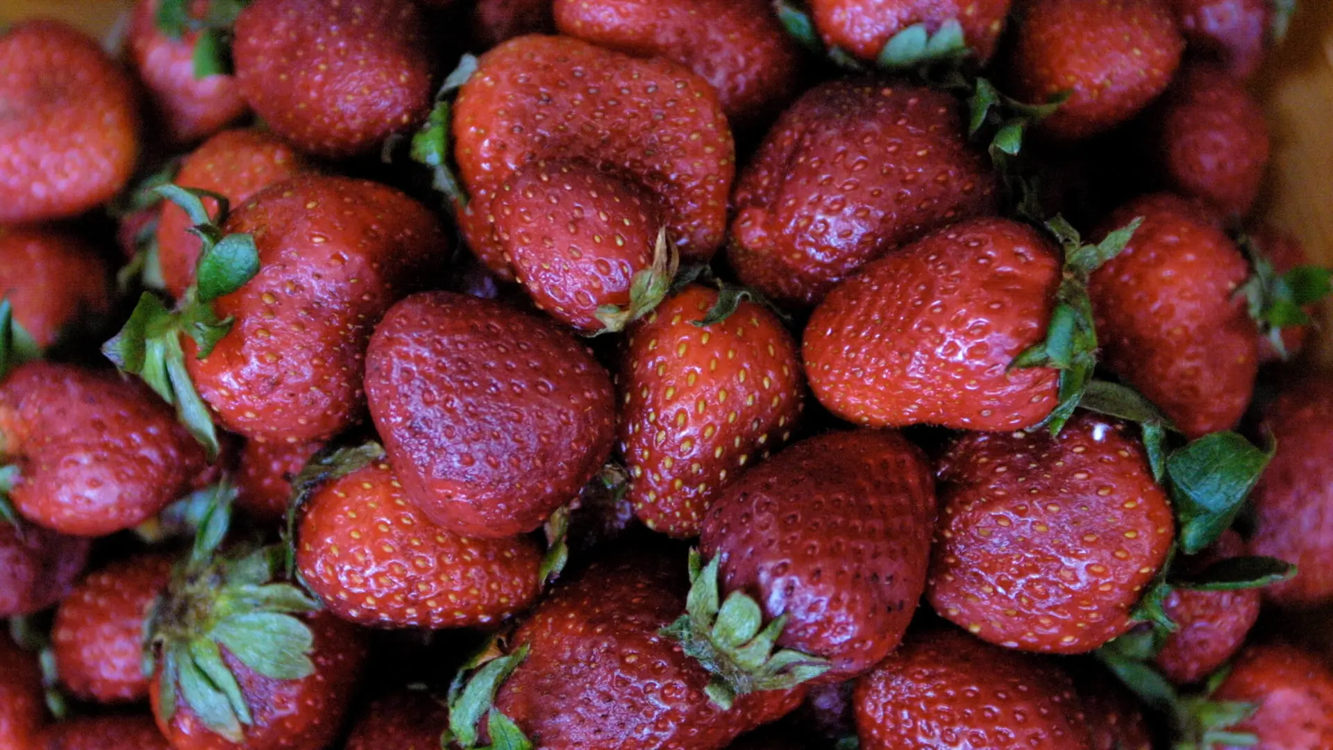 Por qué no puedes dejar de comer fresas (y de acordarte de ellas)