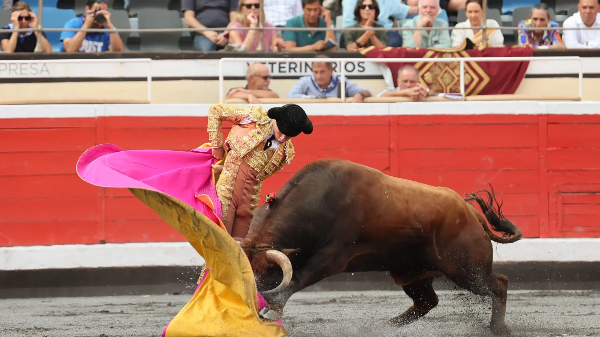 Fotos | El novillero aragonés Aarón Palacio brilla en la feria de ...