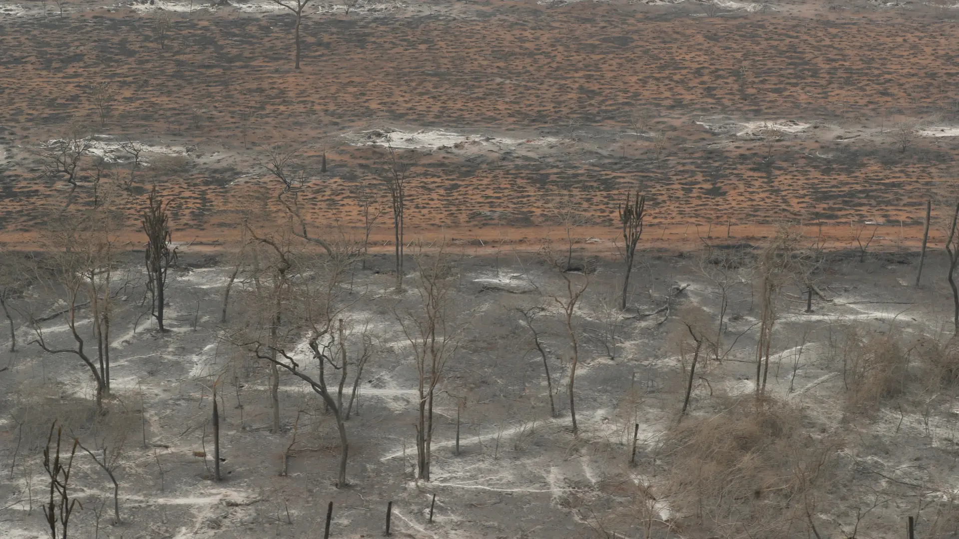 Intentan apagar en Paraguay por tierra y aire un feroz incendio que ha ...