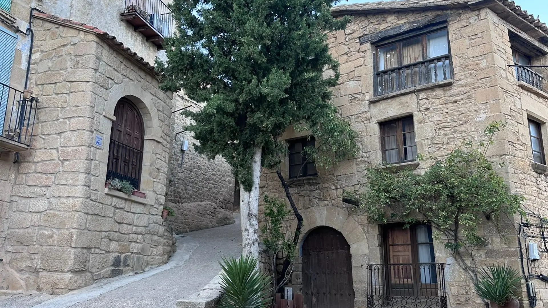 Calaceite recuerda a José Donoso y su etapa como referente del Boom ...