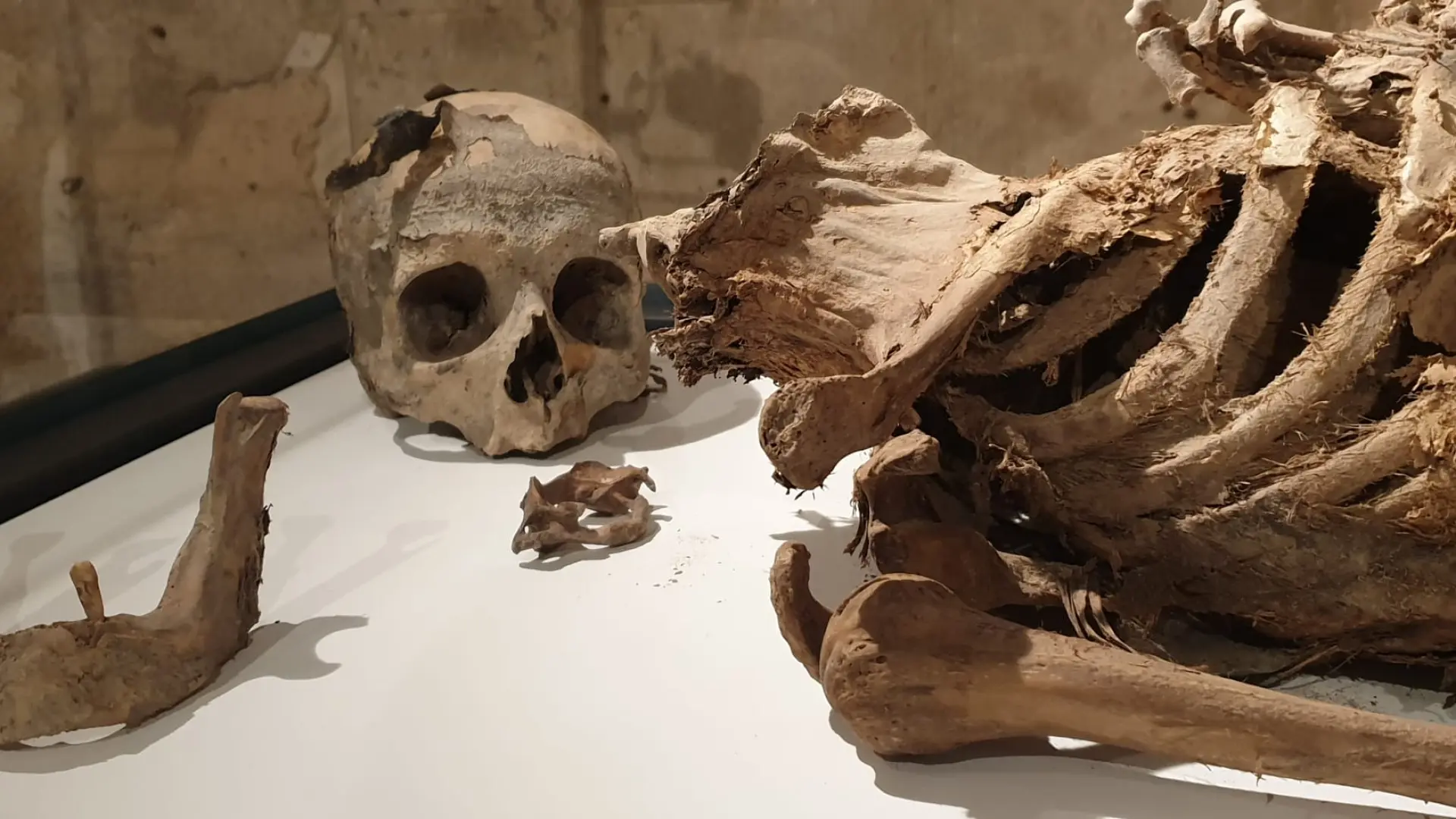 Narcisa, “la abuelita de todos en Quinto” y otras historias del Museo ...