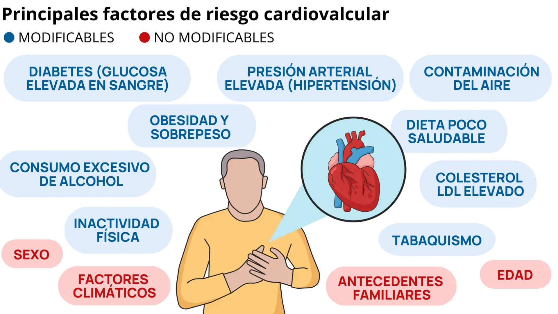 Hojas De Trabajo Del Sistema Cardiovascular Evaluación Del Riesgo