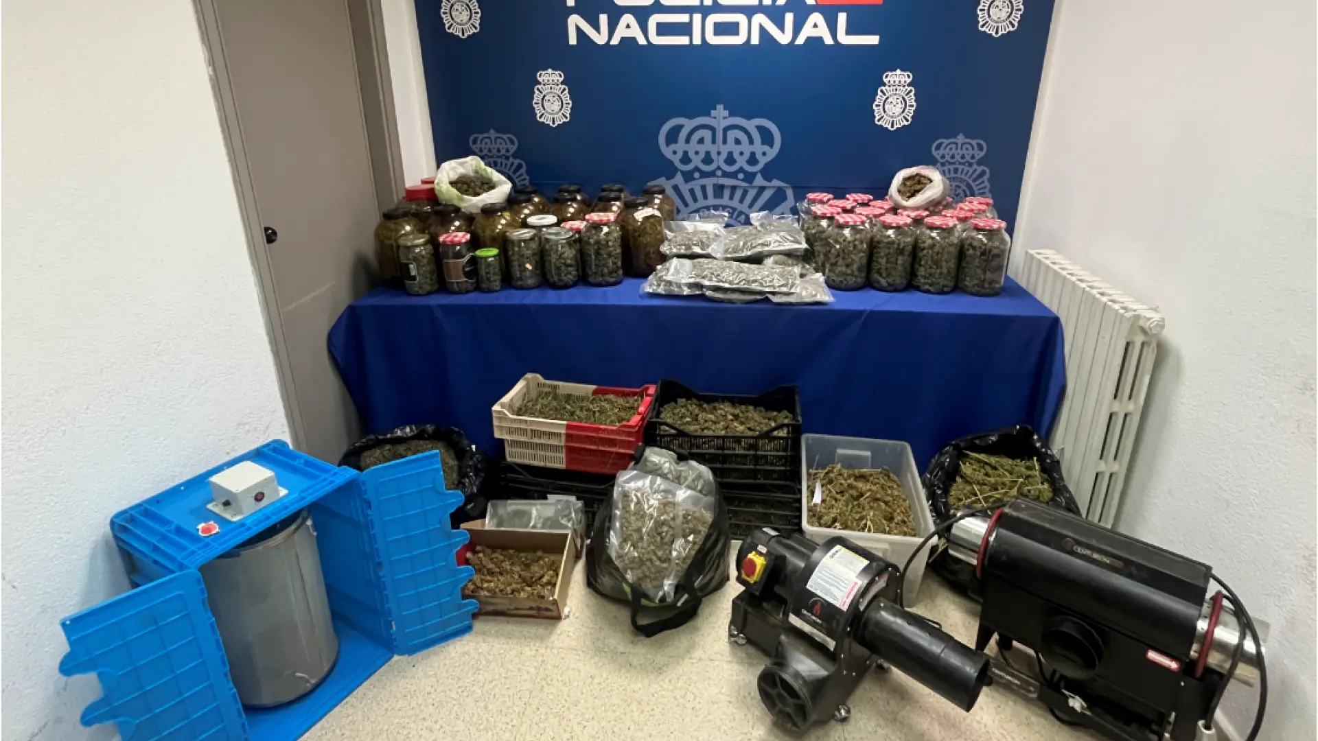 Desmantelan una plantación de marihuana en Arén desde la que se vendía al sur de Francia