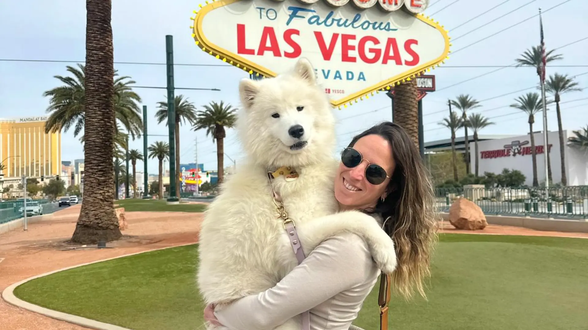 Cala, la perra "aragonesa" que triunfa en redes sociales con sus viajes ...