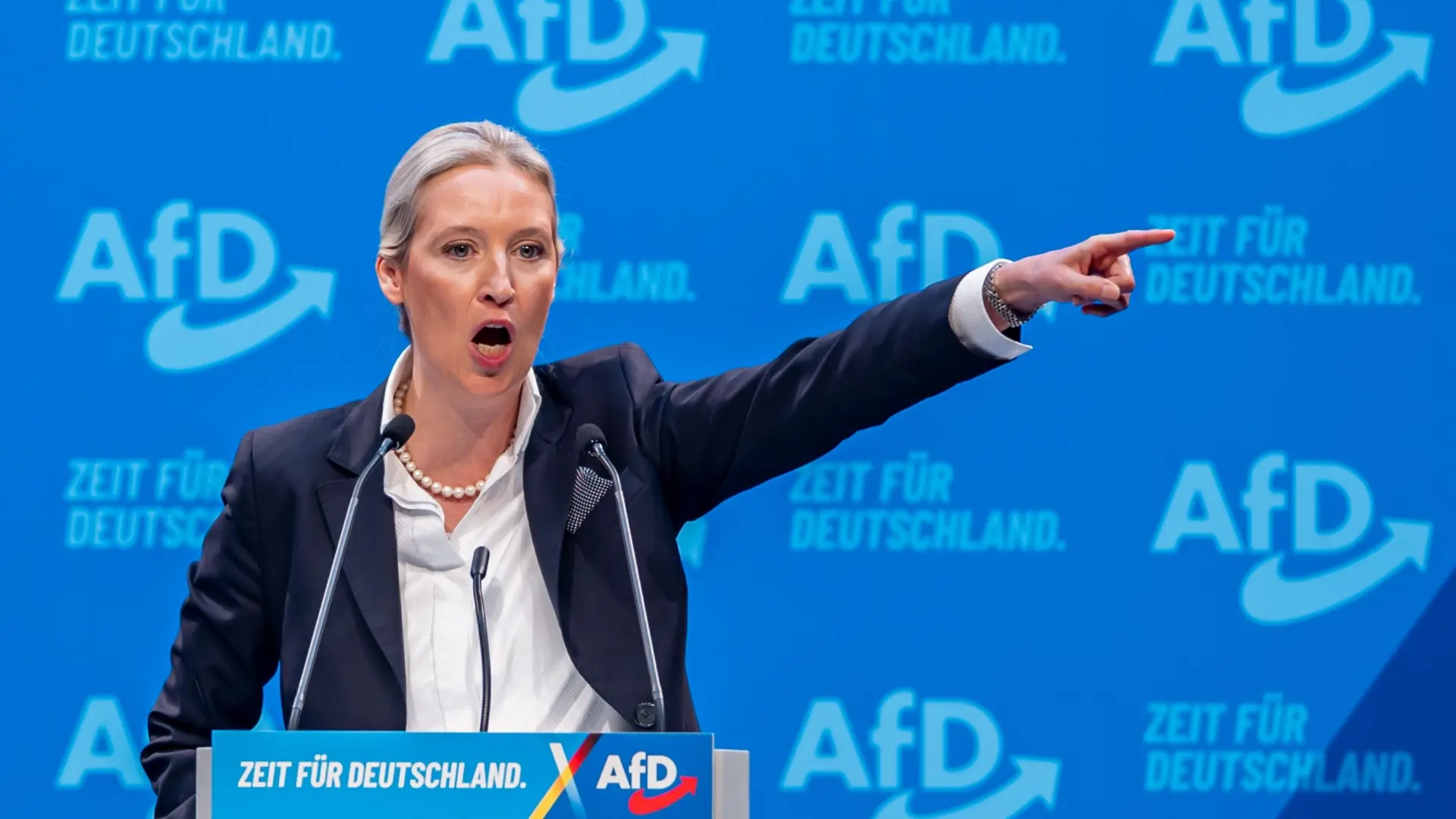 La candidata ultra alemana Weidel tiende la mano al ala más radical con ...