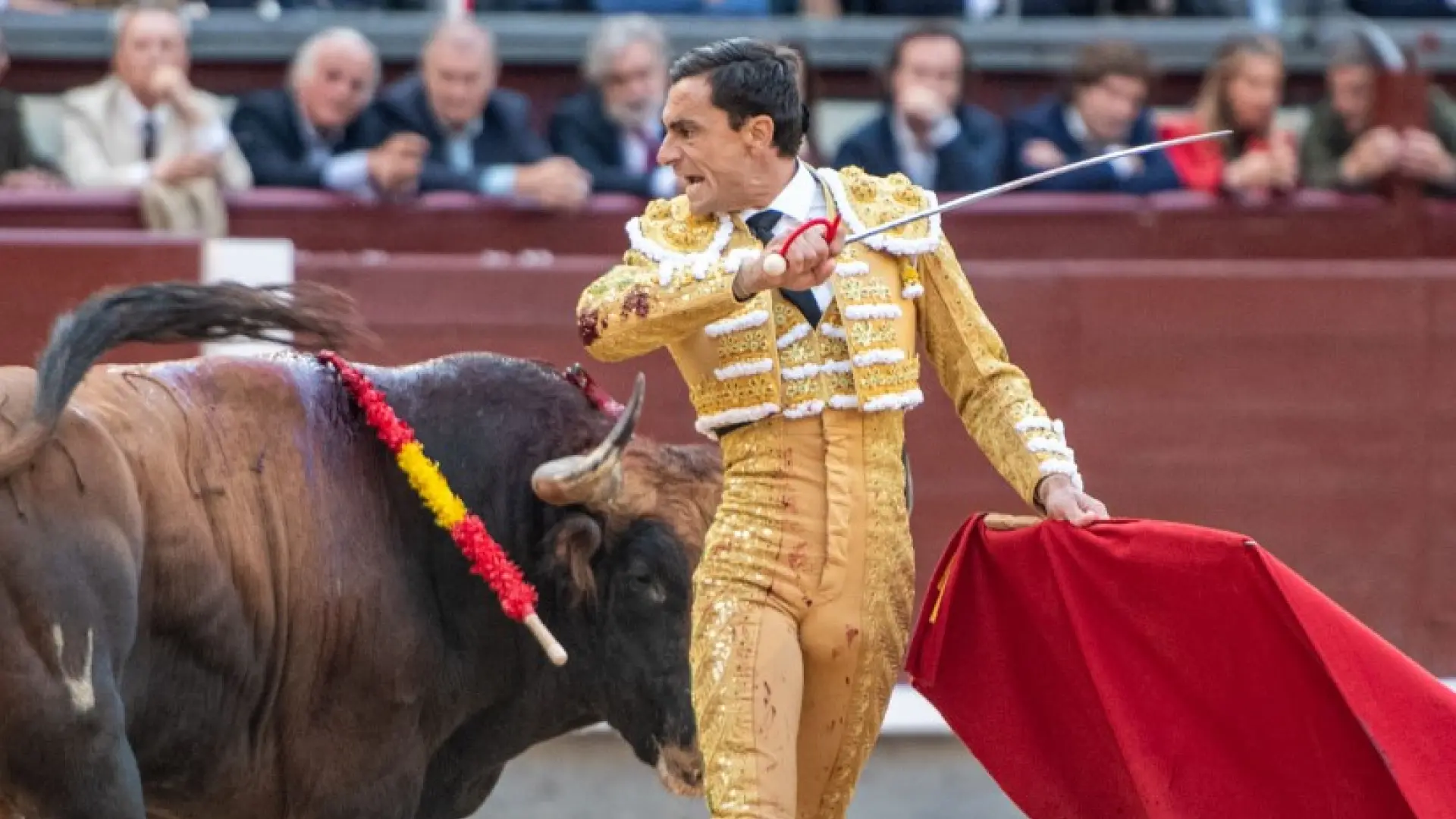 Horario y dónde ver la corrida del 15 de mayo en la Feria Taurina de ...