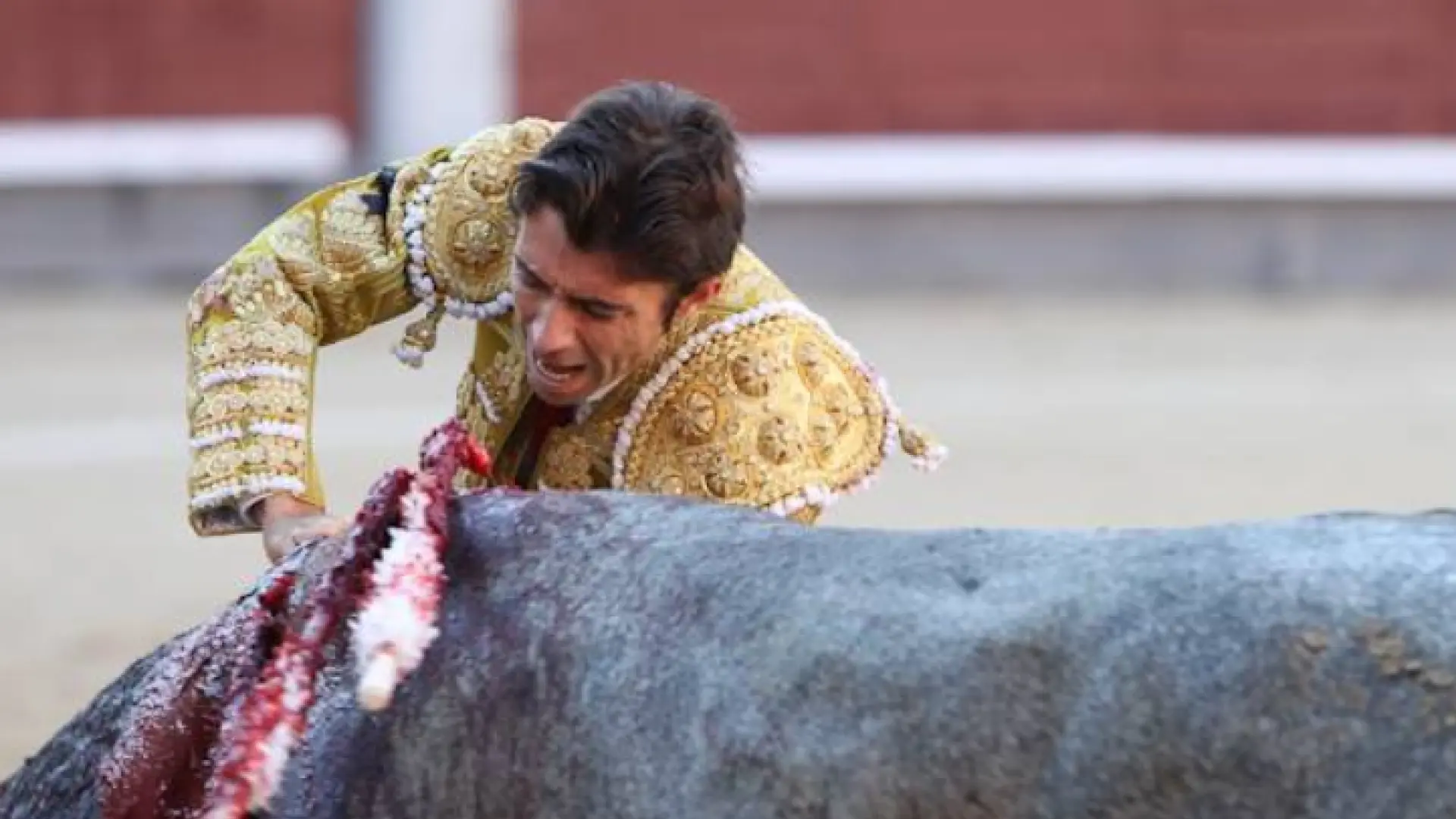 Horario y dónde ver la corrida del 27 de mayo en la Feria Taurina de San Isidro en Madrid gratis ...