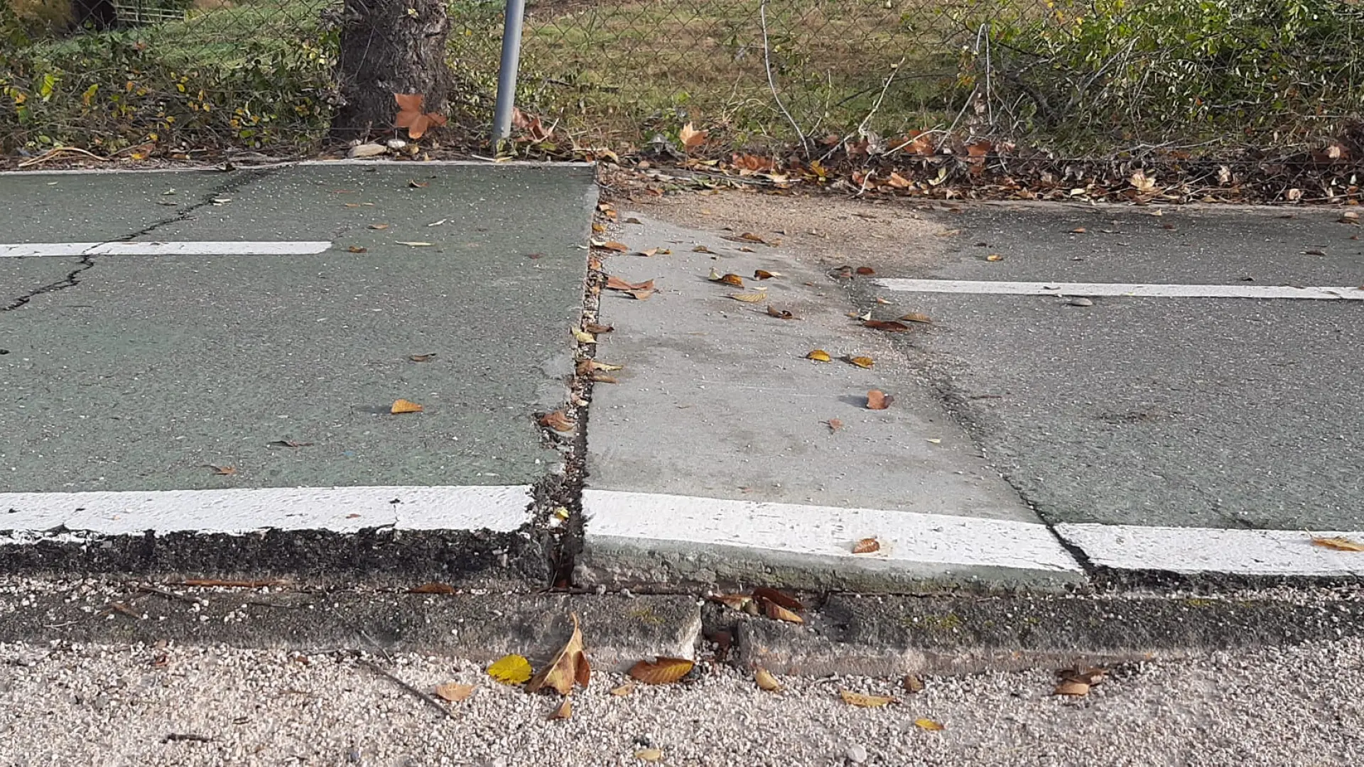 Plan de choque para reparar los carriles bici de Zaragoza más dañados ...