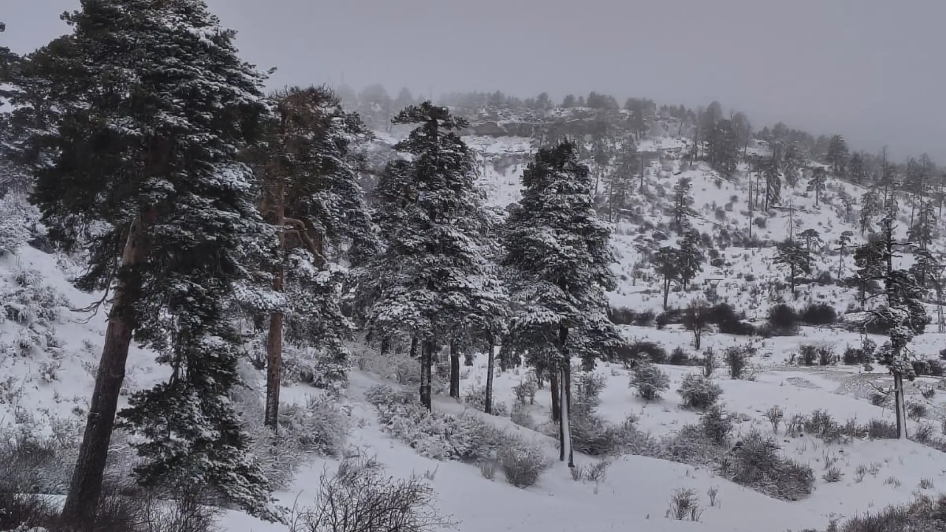Precaución en las carreteras de la Sierra de Albarracín y Comunidad de ...