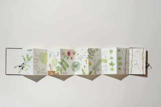 El CDAN de Huesca inaugura la exposición ‘Gilles Clément. Jardines de ...