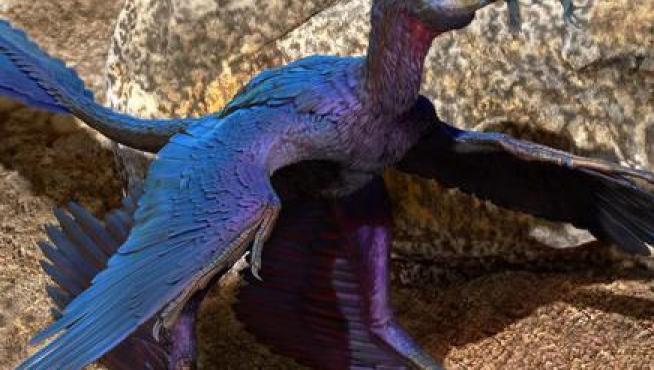 Hallan una nueva especie de lagarto en el estómago de un microraptor