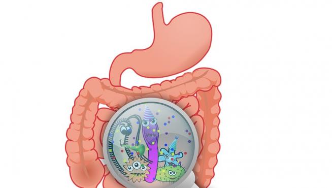 Cómo prevenir y tratar la gastroenteritis vírica | Noticias de Salud en ...