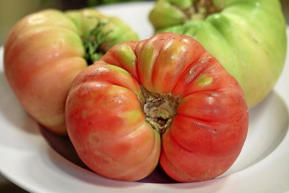 Fotos: Tomate rosa | Imágenes