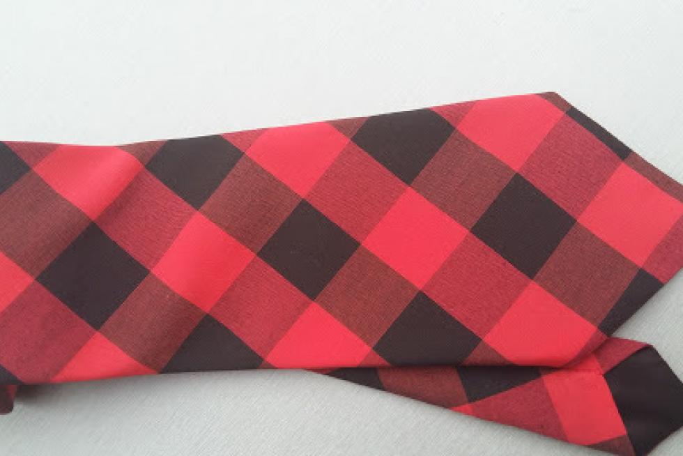 Fotos: La metamorfosis del cachirulo | Imágenes