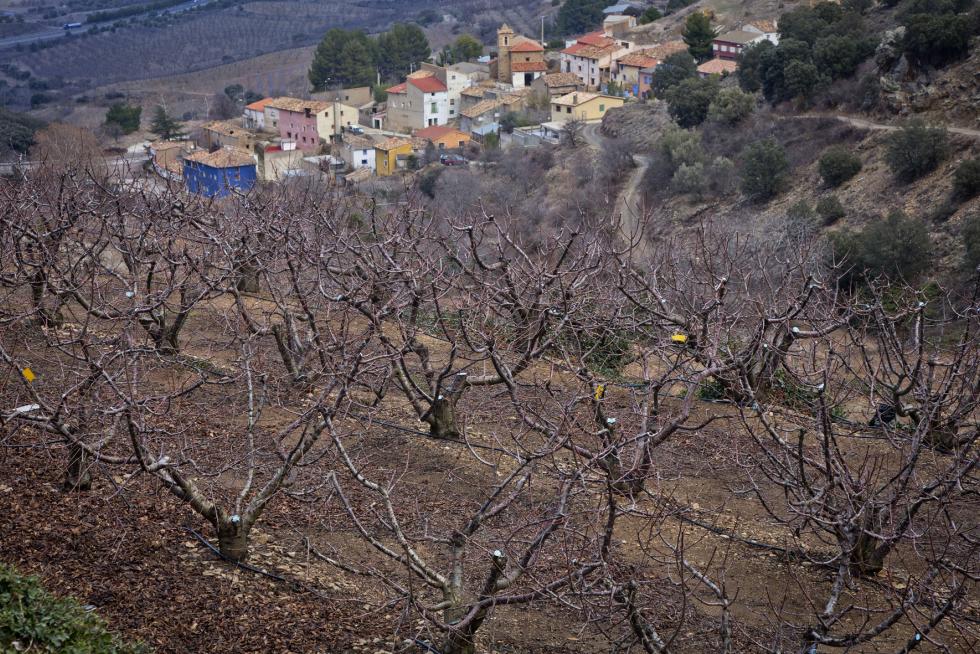 Fotos: Más imágenes de El Frasno en 'Aragón, pueblo a pueblo' | Imágenes