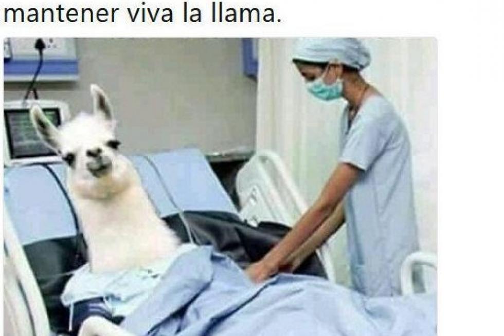 Fotos: Memes para partirse de risa | Imágenes