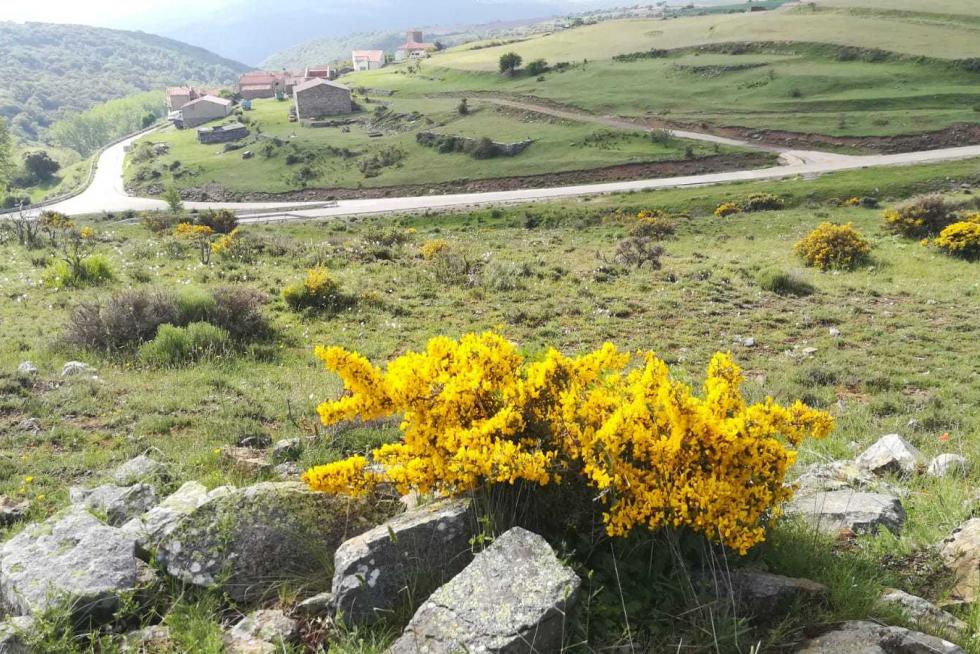 Fotos: Nace Manaslu, un rayo de luz en Pobar, en la España vacía | Imágenes