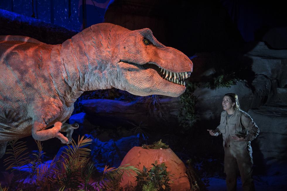 Fotos: Dinópolis | Imágenes