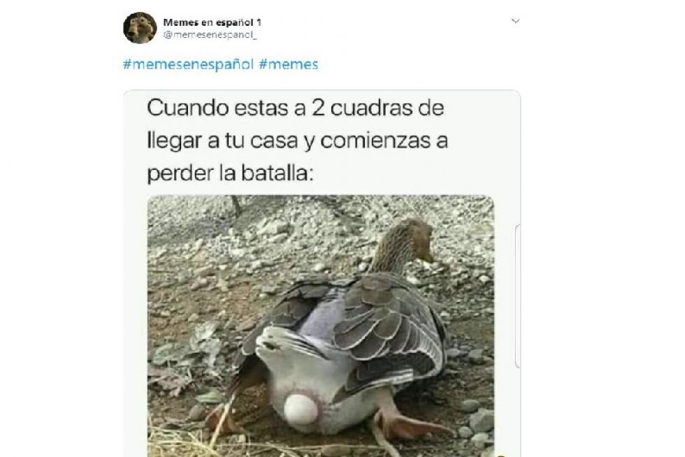 Fotos: Los mejores memes para dar la bienvenida a agosto | Imágenes